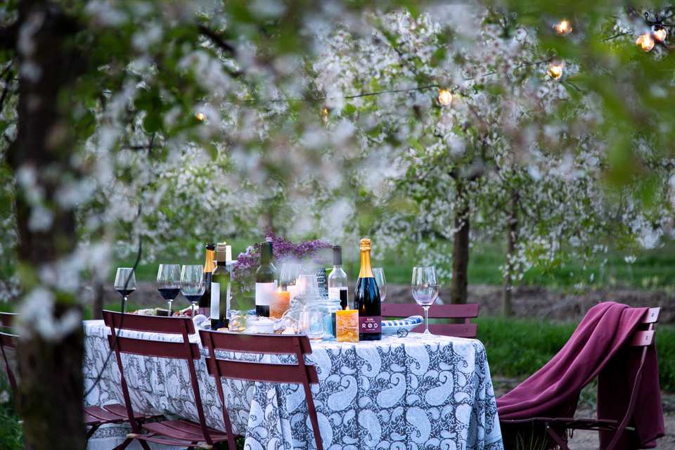 Frederiksdal award-winning Danish Cherry Wine